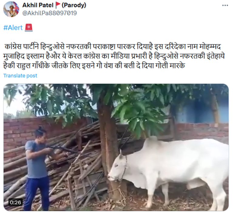 Fact-Check: Video showing Cow shot in head falsely associated with ...